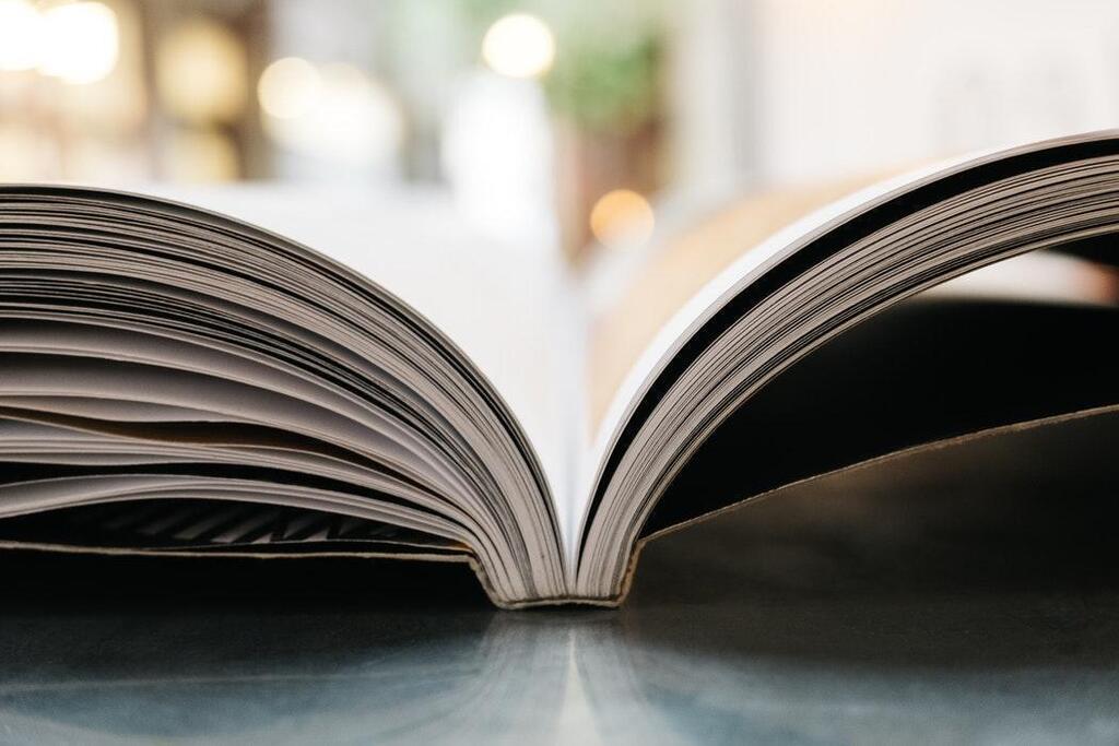 17 Book Review Examples To Help You Write The Perfect Review Reedsy 