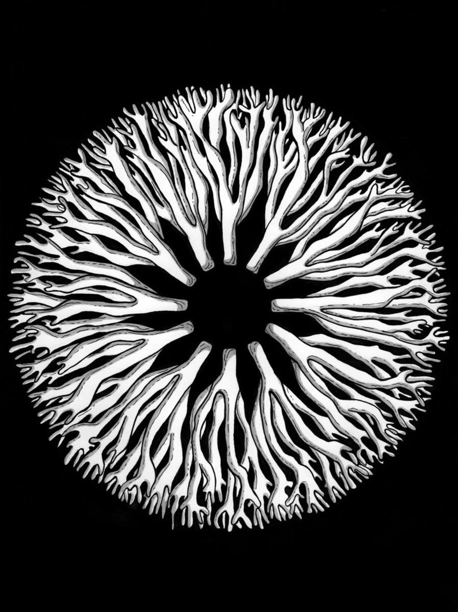 Emily Ruf, Designer in Minneapolis, MN, USA | Reedsy