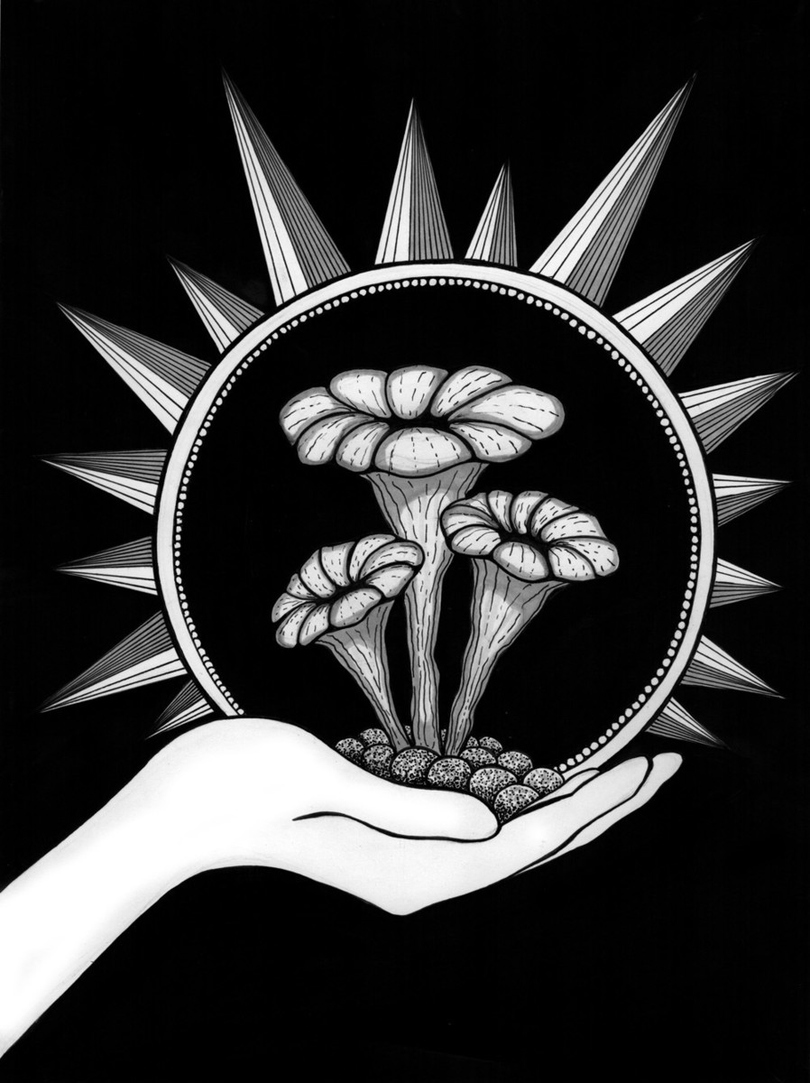 Emily Ruf, Designer in Minneapolis, MN, USA | Reedsy