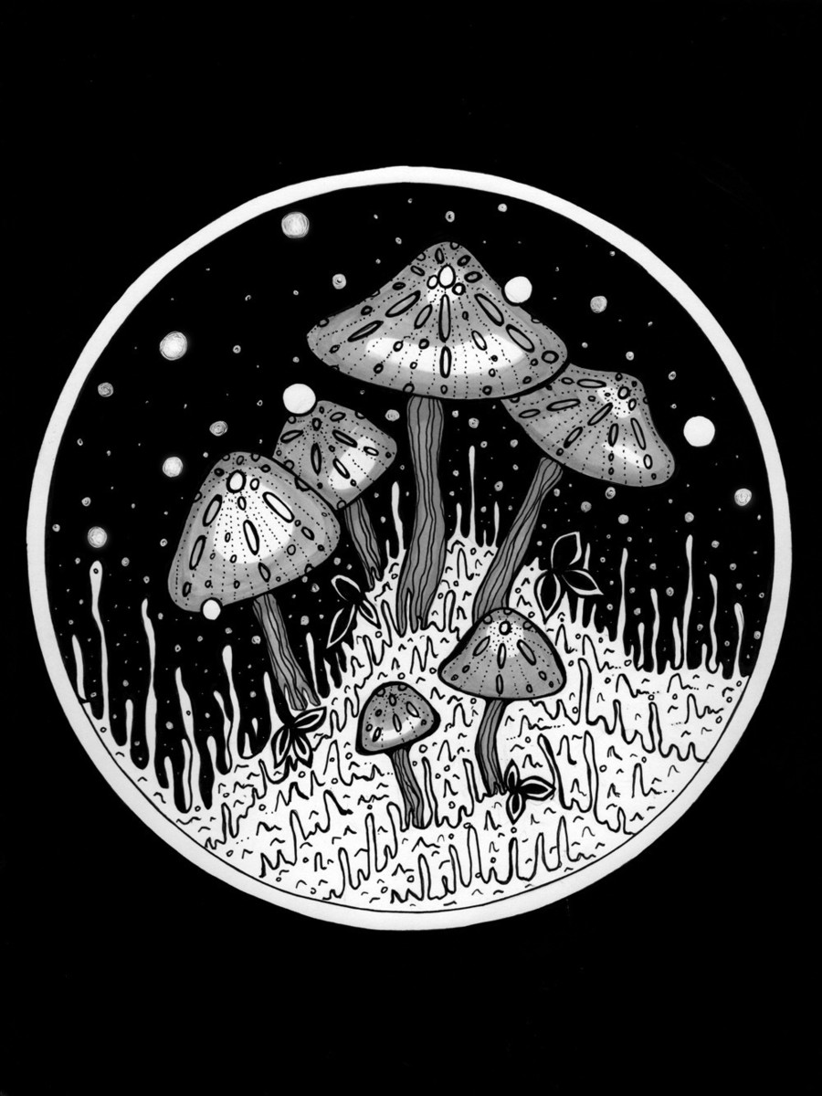 Emily Ruf, Designer in Minneapolis, MN, USA | Reedsy