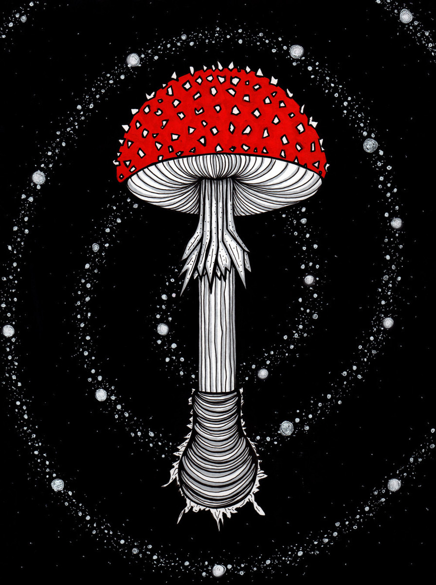 Emily Ruf, Designer in Minneapolis, MN, USA | Reedsy